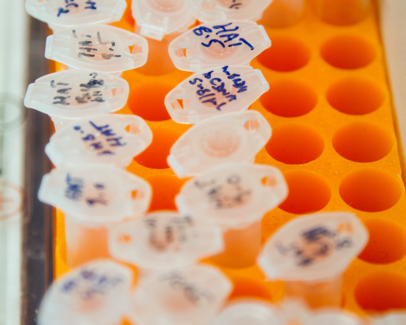 People – Mitchell Lab